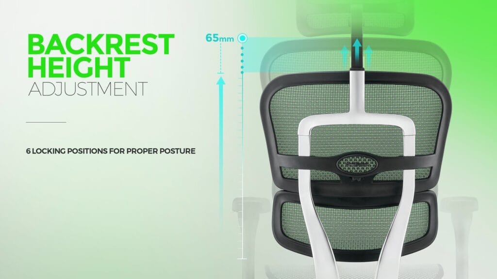 Buy Ergohuman Medium Back Chair At Best Price