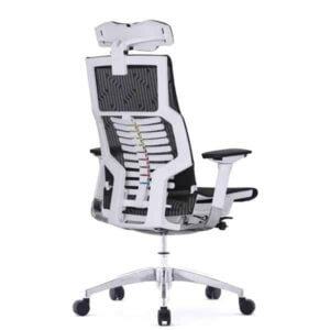 Buy Pofit Ergonomic Chair Online At Best Price - Ample Seatings