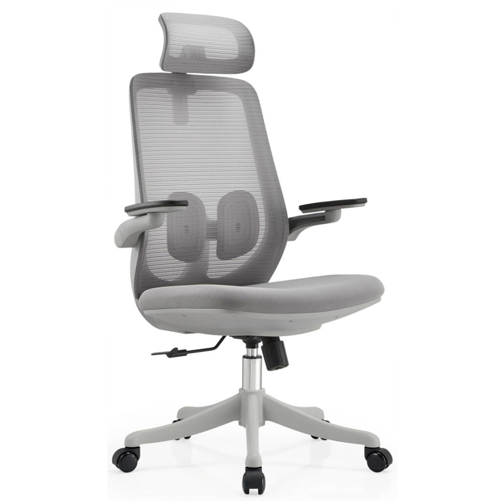 Buy Office Chairs Online at Best Price - Ample Seatings
